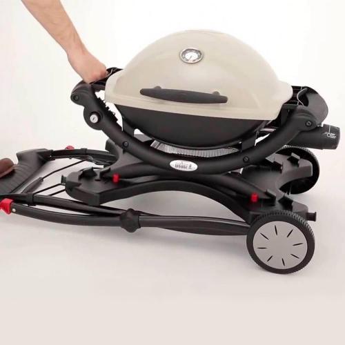 Weber Q1000 2000 13990 113430